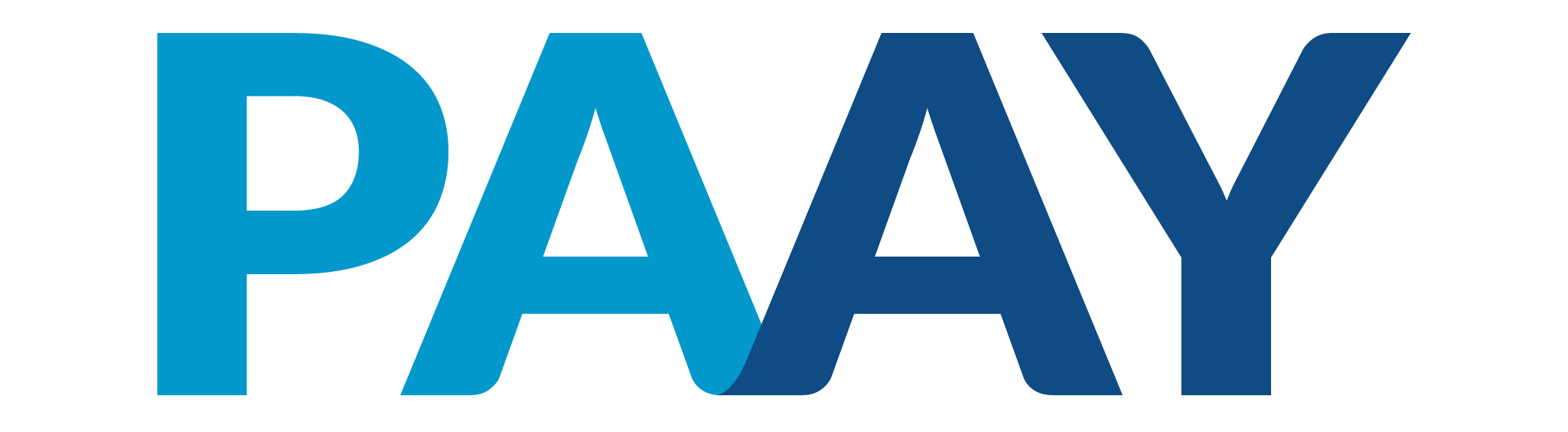 PAAY logo | Payments NEXT