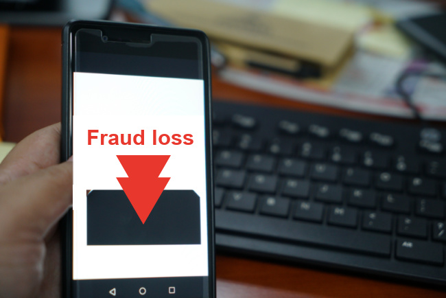 fraud losses | Payments NEXT